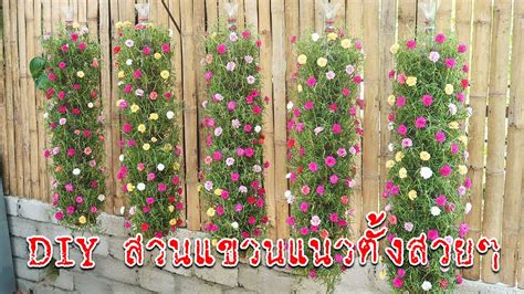 คลิป Diy สวนแขวนแนวตั้งสวยๆ ปลูกคุณนายตื่นสาย สำหรับพื้นที่ขนาดเล็ก