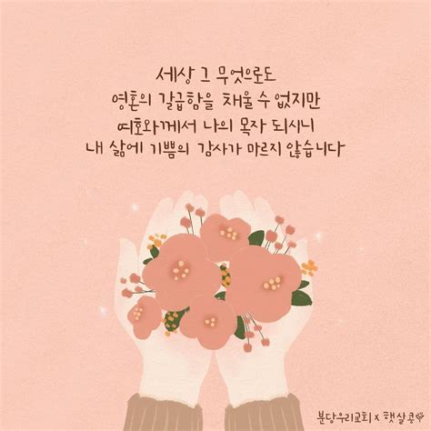 Instagram의 하나님의 복음을 전하는 씨앗 햇살콩🌿님 “ 하나님의 복음을 전하는 씨앗 햇살콩🌿 [ 감사는 ‘내어드림에서 시작됩니다 ️