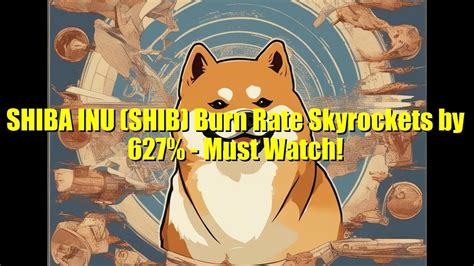 Shiba Inu Shib Burn Rate Skyrockets By 627 Must Watch Youtube