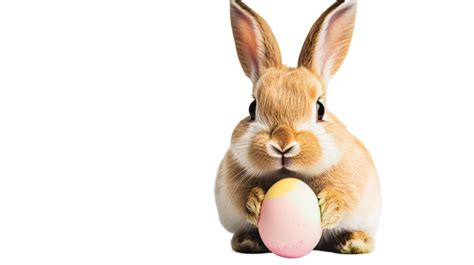 Easter Bunny Silhouette Pngs For Free Download