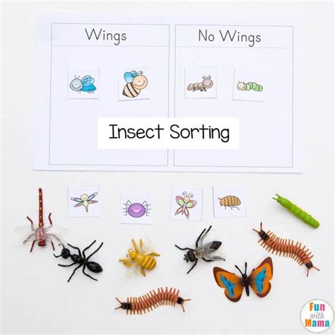 Insect Theme Sorting Worksheet Bug Activities