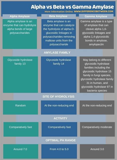 Differences Between Alpha Beta And Gamma Amylase