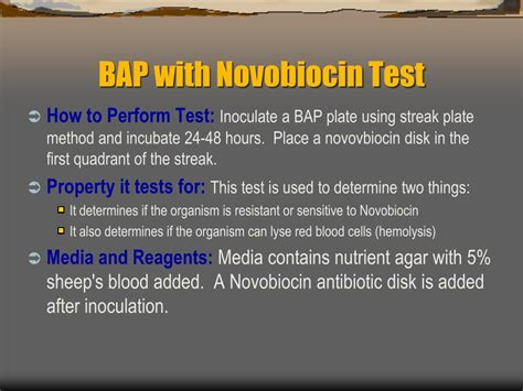 Ppt Staphylococcus Identification Tests Powerpoint Presentation Free Download Id 6997753