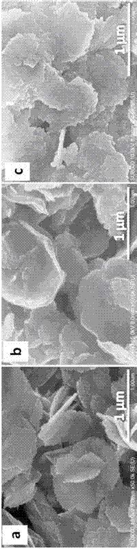 Method For One Step Hydrothermal Synthesis Of Different Morphology