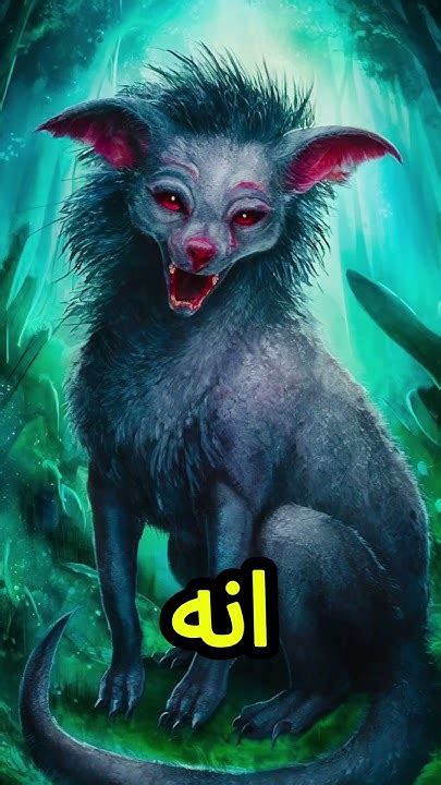 تشوبا كابرا 😰😱 Youtube