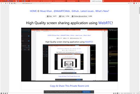 Allow Sharing Of A Region Of A Monitor · Issue 154 · Emersionxdg
