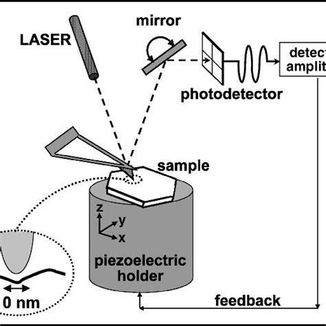 Schematic Diagram Of The Setup Of An Atomic Force Microscope Operating