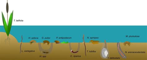 Copper Helcom Indicators