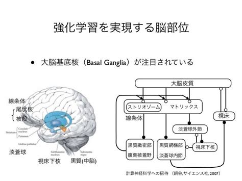 computational motor control reinforcement learning jaist summer cou…