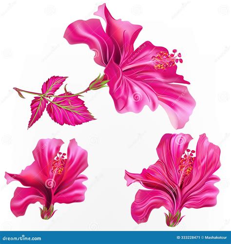 Pink Hibiscus Flowers With Palm Tree Leaves Seamless Pattern On