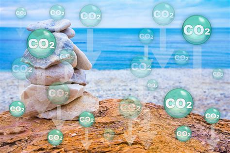 Co2 이산화탄소 배출은 바다에 흡수되어 바다의 온난화와 물의 산성화를 유발합니다 바다는 탄소 흡수원 역할을 합니다 바다 풍경과