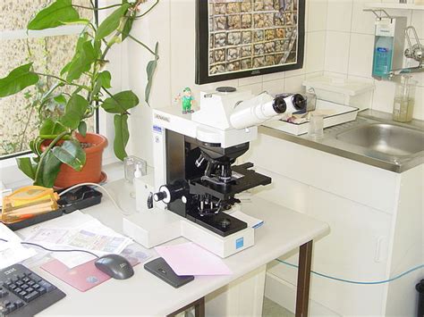 Atricure Emerges As A Leader In Atrial Fibrillation Treatments Ahead Of