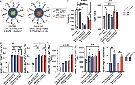 Multi Antigen Spherical Nucleic Acid Cancer Vaccines Pmc