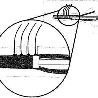 Design Of The Proximal Cutting Experiment Figure Water Tank With