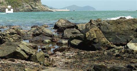 바다 옆 바위 해변에 서 있는 사람 사진 Unsplash의 무료 대한민국 부산 사하구 몰운대1길 이미지