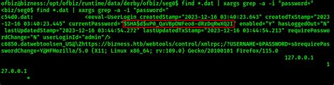 Ctf Bizness Linux Easy Infiltrators Hideout