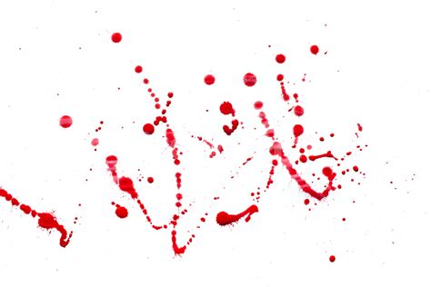 물감 뿌리기 종이 흰배경 페인팅 사진이미지일러스트캘리그라피 Binimin작가