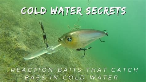 Mastering Cold Water Bass Fishing Reaction Baits And Underwater