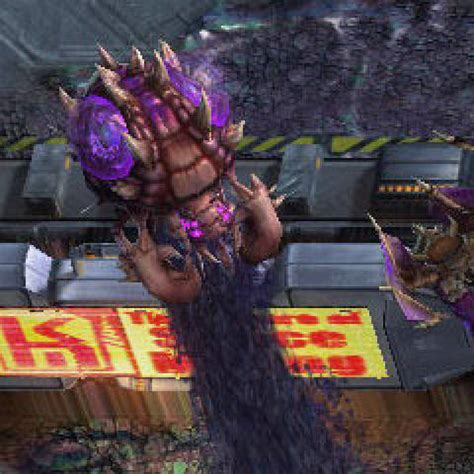 Zerg Overlord Starcraft