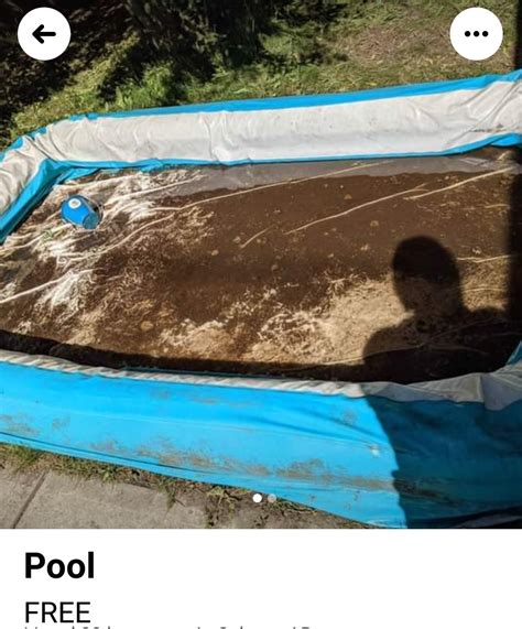 Anyone Fancy A Swim Rcrackheadcraigslist
