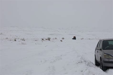 НҮБ ын Хүүхдийн Сангаас зудад өртсөн орон нутгийн хүүхдүүдэд туслахыг уриалж байна