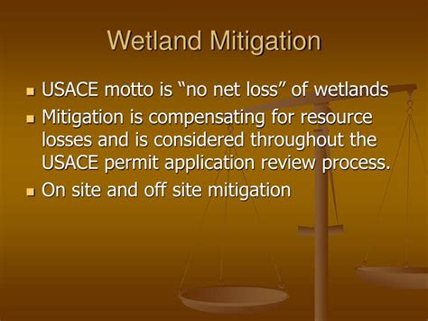 Ppt Wetland Mitigation Powerpoint Presentation Free Download Id783618