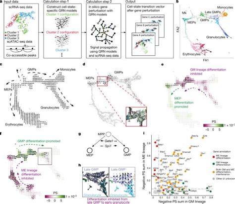 Jorge Morales On Linkedin Dissecting Cell Identity Via Network