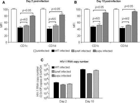 Vpu But Not Nef Plays A Role In Cd1c Cd1d Modulation Jurkat Cells Download Scientific