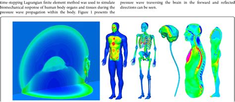 Simulations Of Human Body Under 5 Lb C4 Explosion And Blast Induced Download Scientific Diagram