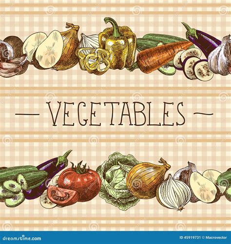 Vegetables Seamless Pattern Border Cartoon Vector CartoonDealer