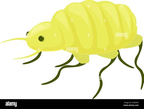 Yellow Wireworm Larva With Segmented Body And Six Legs Crawling Yellow Wireworm Larva Crawling