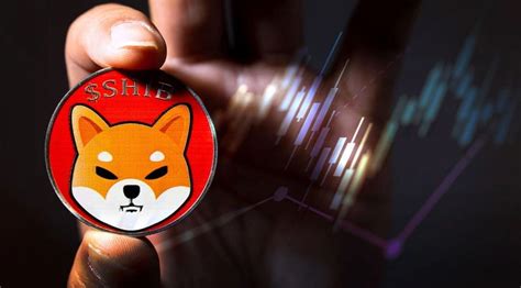 Siambitcoin สยามบิทคอยน์ วาฬ Eth อันดับต้นๆ ถือครอง Shib น้อยกว่า