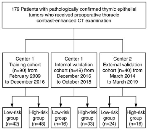 Flowchart Of The Patient Selection Process Ct Computed Tomography