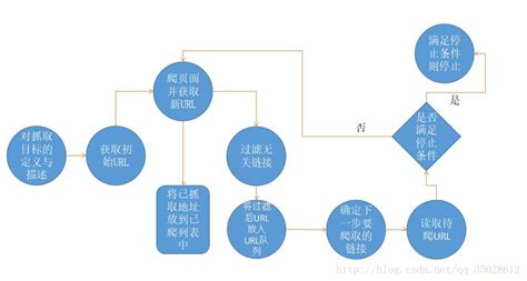 学小实，学大事 什么是爬虫？网页