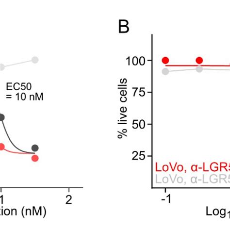 In Vitro Killing Of Lgr5 Expressing Cell Lines By A Lgr5 Adc Download Scientific Diagram