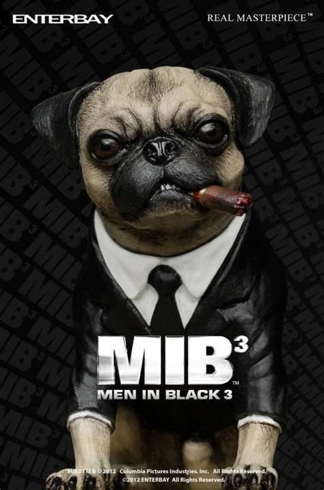 Pin By Arjun Burgula On Musictv Movies Frank The Pug Pugs Black Men