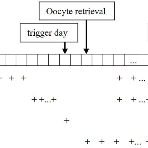 Double Ovarian Stimulation Protocol During The Follicular And Luteal