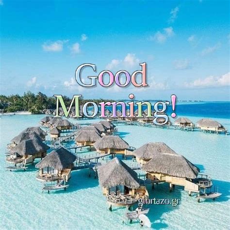 Summer Good Morning Pictures Giortazogr