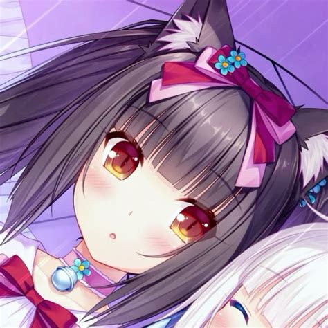 ༷ ྀི Nekopara ⑅ 22 ֯♡ Matching Pfps For Best Friends Y2k Couples