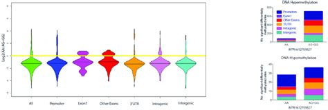 Differential DNA Methylation Patterns According To Maternal MTR