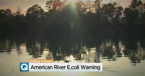 Tests Show E Coli Contamination In The American River Cbs Sacramento