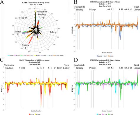 Motor Domain Molecular Dynamic Simulation A D Rmsf Root Mean Square Download Scientific