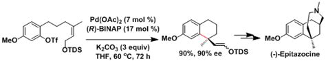 Mizoroki Heck Reaction Chem Station Int Ed