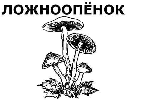 Раскраски