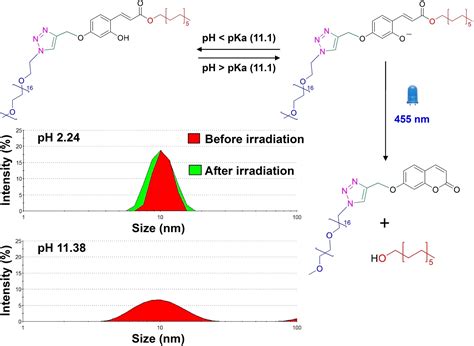 Visible‐light‐triggered Degradation Of Ph‐responsive Micelles Based On
