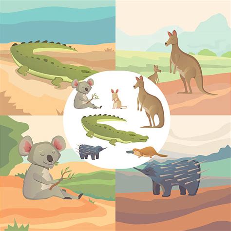 Royalty Free Marsupial Clip Art Vector Images And Illustrations Istock