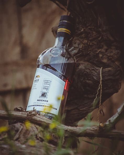 Mozner Bar Moznerbar • Instagram Photos And Videos