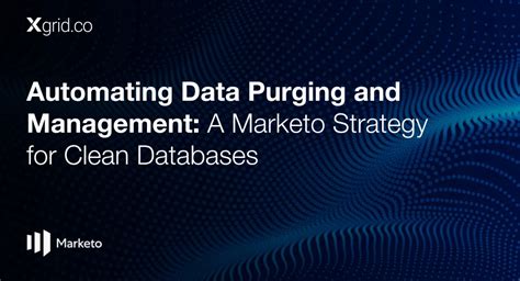 Automating Data Purging And Management A Marketo Strategy For Clean Databases