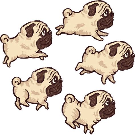Pugs Clip Art Vector Images And Illustrations Istock