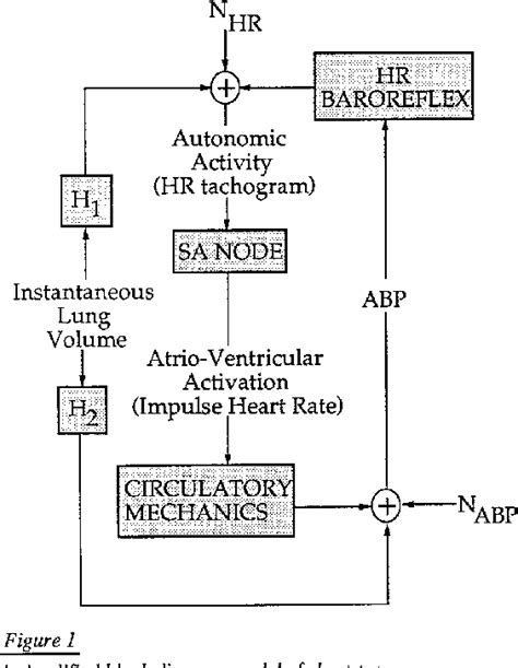 Figure 1 From Closed Loop Identification Of Cardiovascular Regulatory